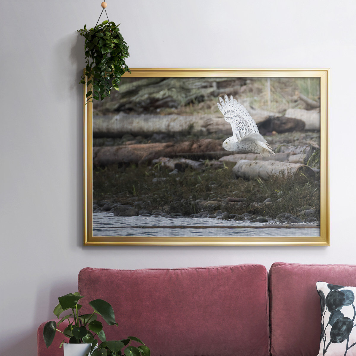 Wexford Home Solo Flight - Single Picture Frame Print on Canvas | Wayfair