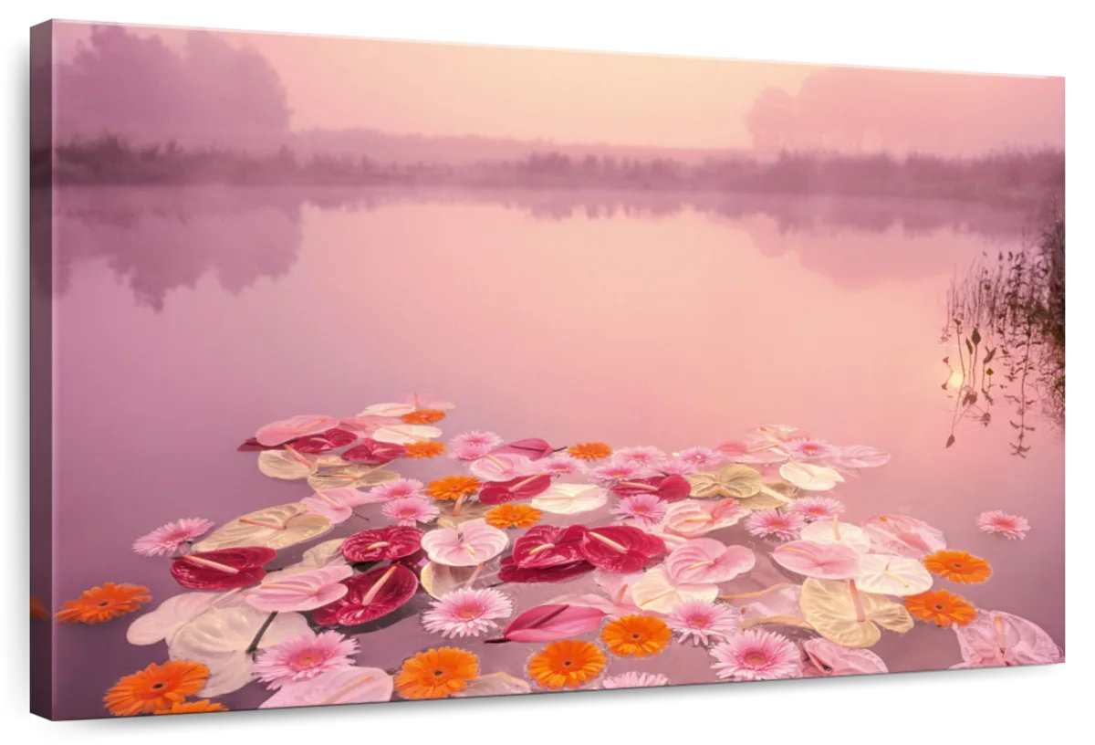 Millwood Pines Alvord Floral Pink Lake - Wayfair Canada