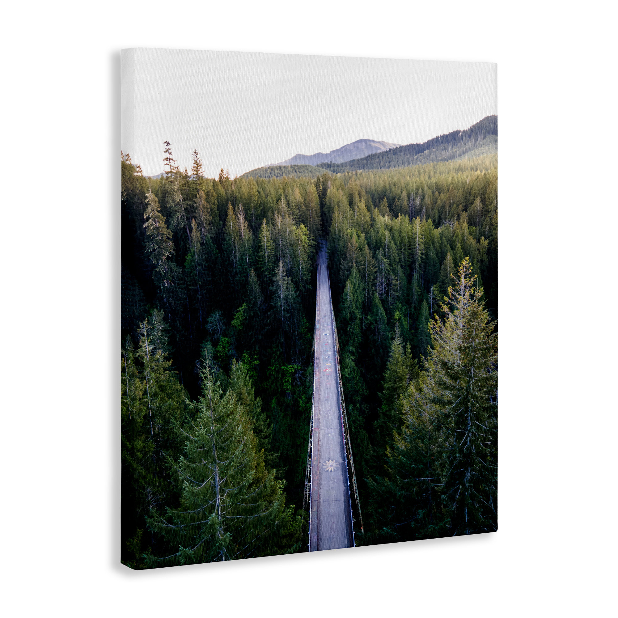 Ophelia & Co. Bridge Between Pines Canvas, design by Jared Kreiss | Wayfair