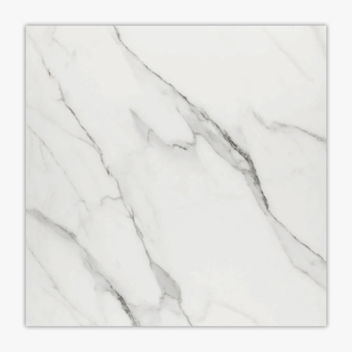 Direct Stone Source 32" x 32" Porcelain Singular Wall & Floor Tile ...