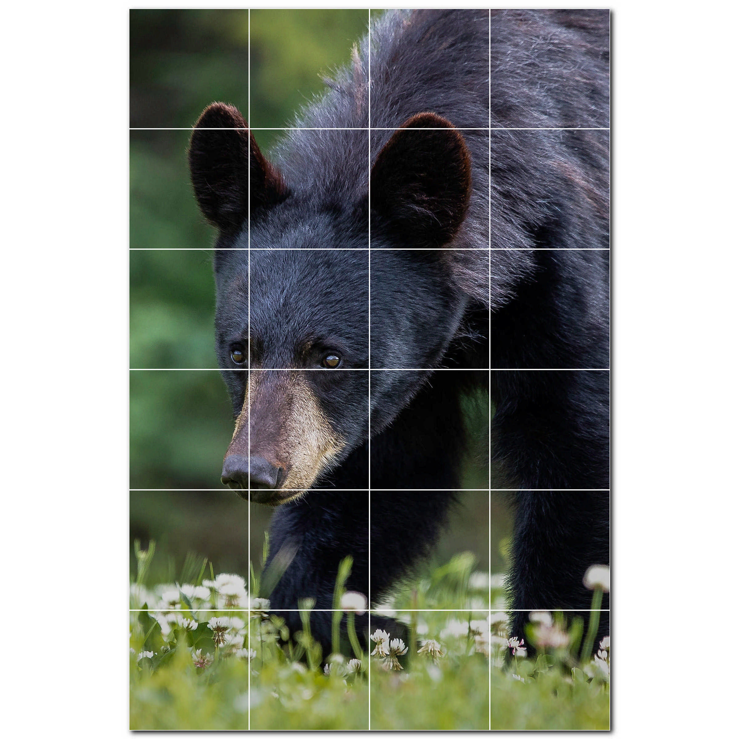 Picture-Tiles.com 32" x 48" Ceramic Bear Photo Decorative Mural Tile ...
