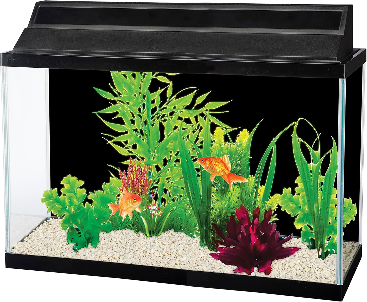Penn Plax Double-Back Roll-A-Scene Aquarium Background | Wayfair