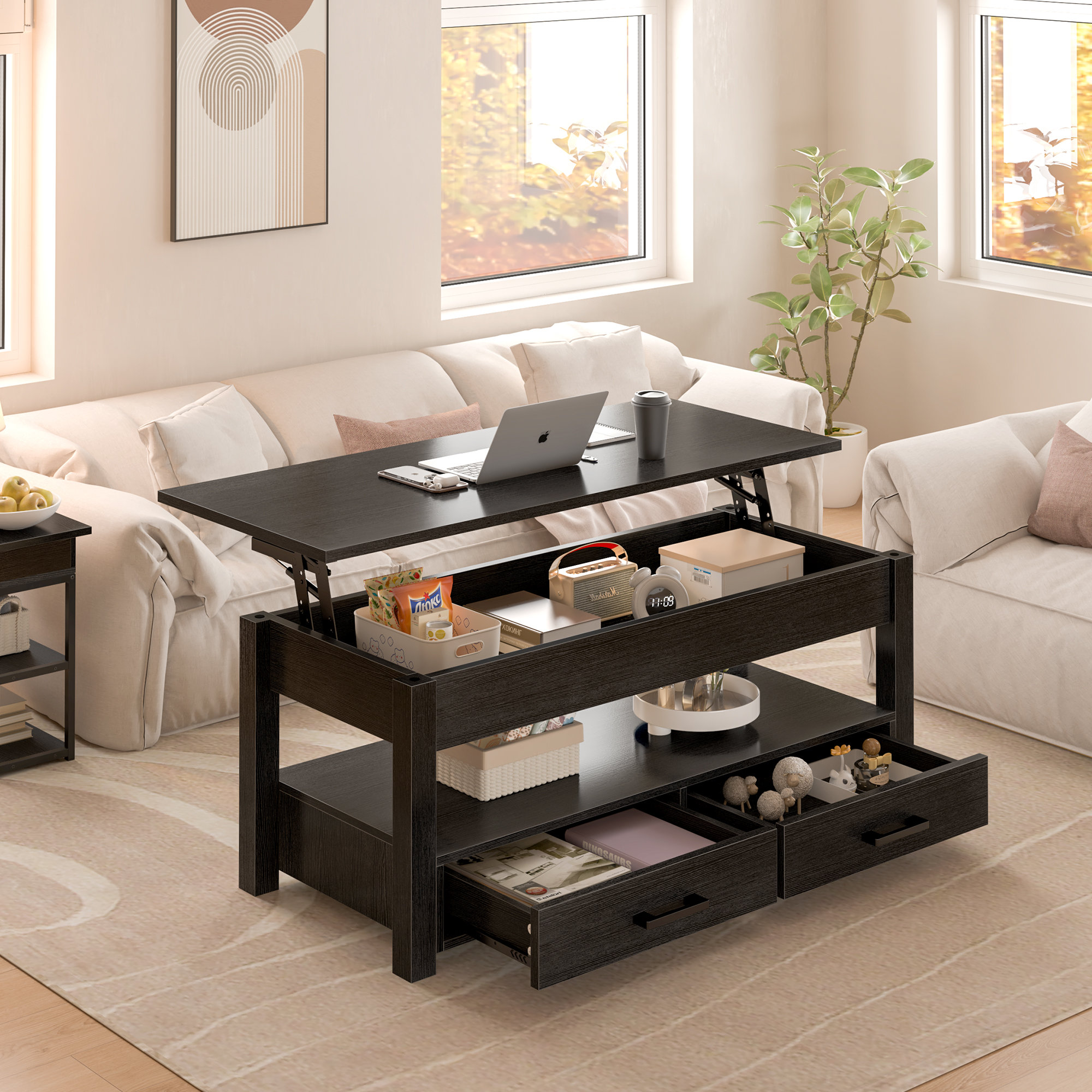 Millwood Pines Areil Lift Top Coffee Table with Storage, Cocktail Table ...