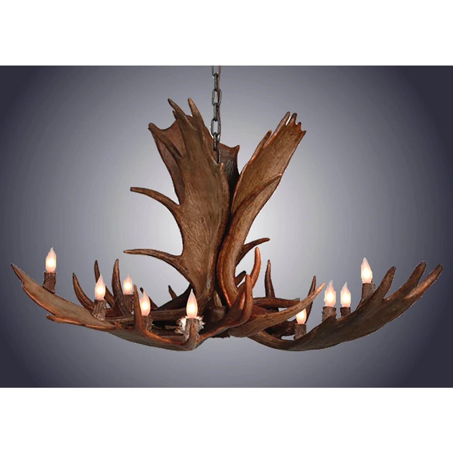 Ashore Lighting 10 Light Medium Moose Antler Chandelier - Wayfair Canada