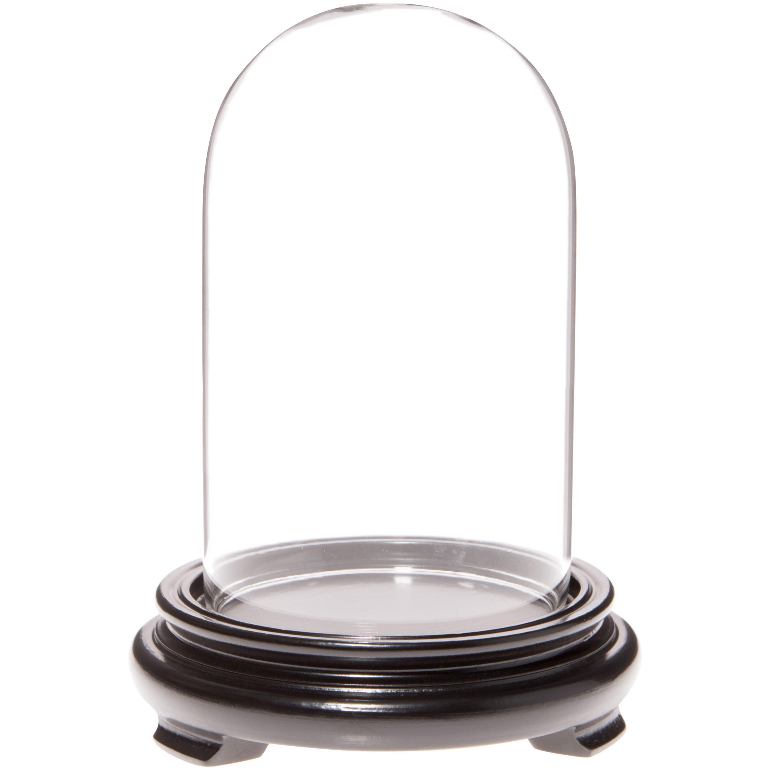 Red Barrel Studio® Kelig 3" x 5" Glass Display Dome Cloche | Wayfair