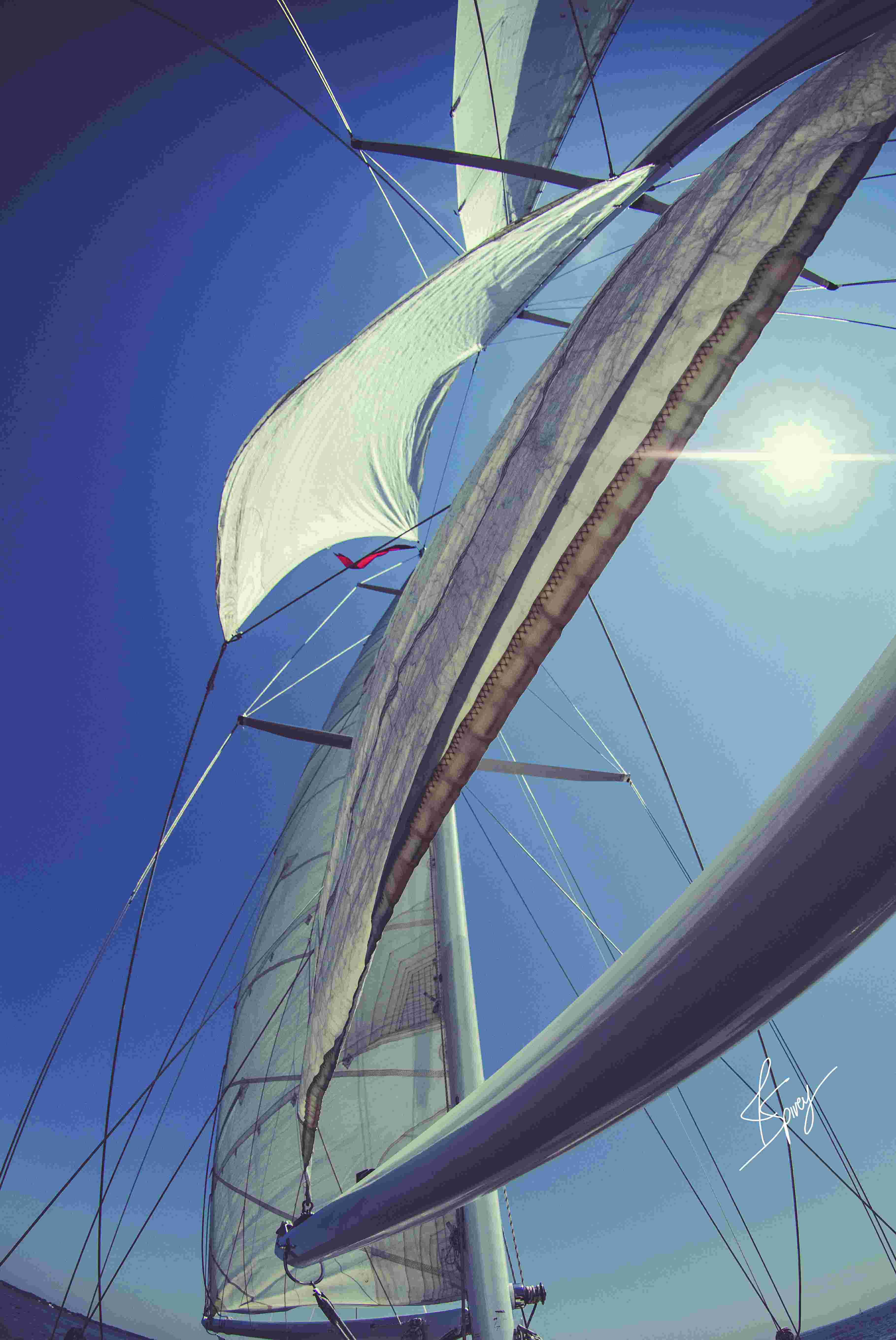 Ebern Designs Clear Sailing by Justin Spivey - Wrapped Canvas Print ...