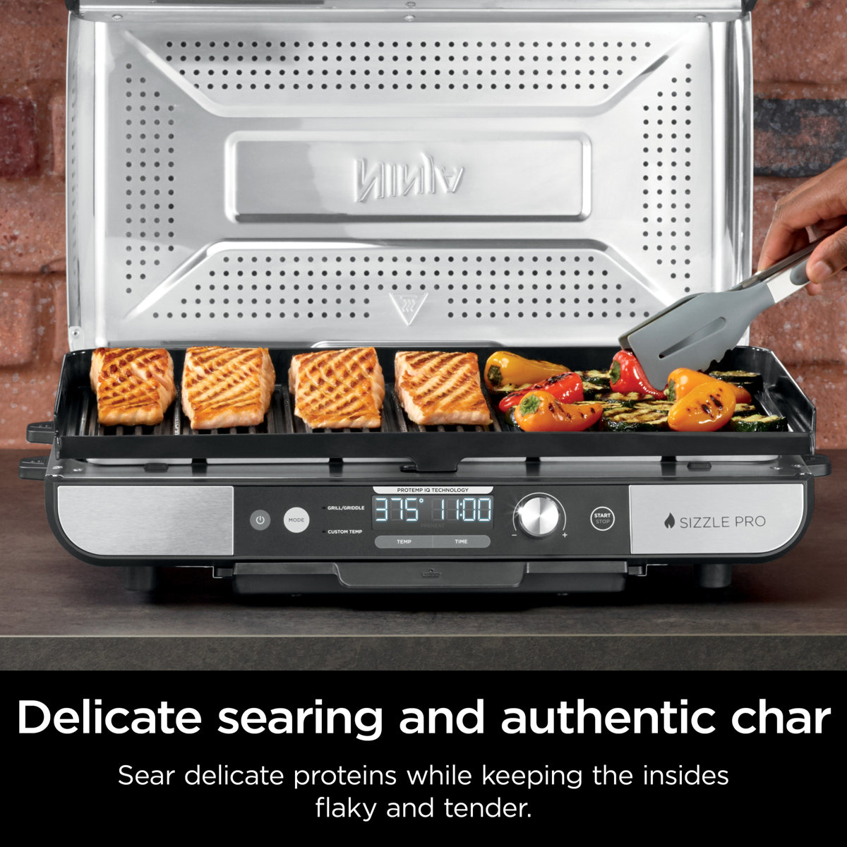 Ninja Sizzle Pro Xl 20 Indoor Griddle And Grill & Reviews | Wayfair