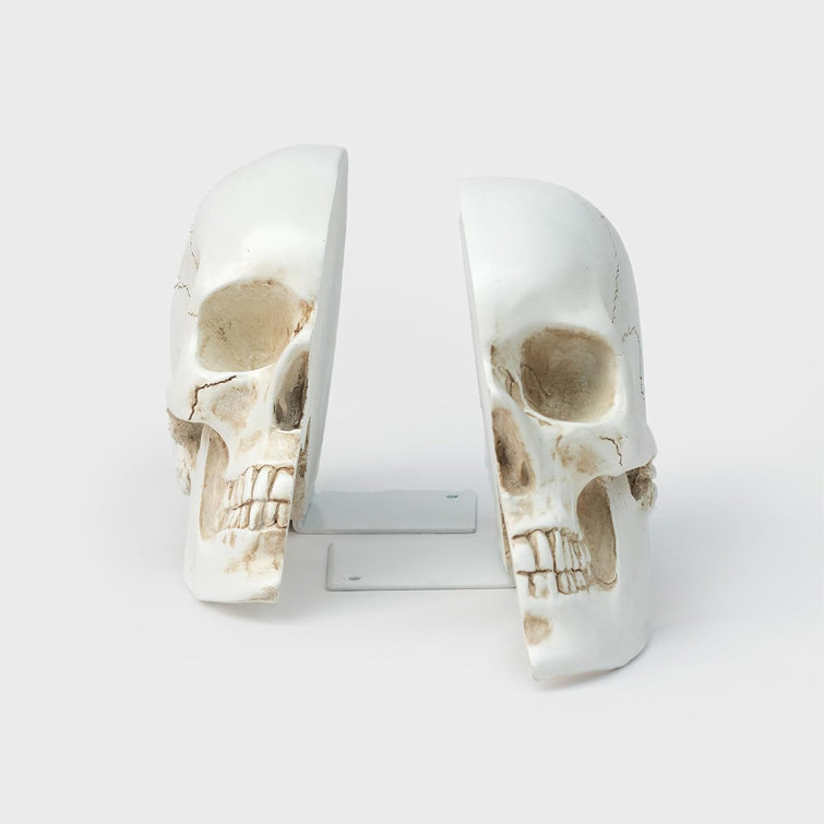 Happy Larry Skull Design Book Shelves & Storage | Wayfair.co.uk