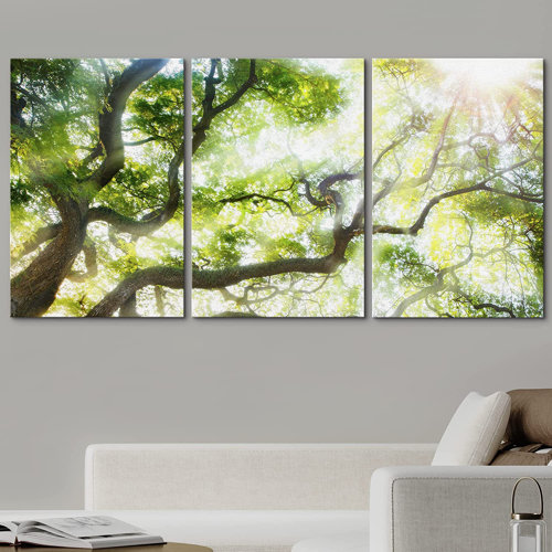 Wayfair | Canvas Prints & Paintings