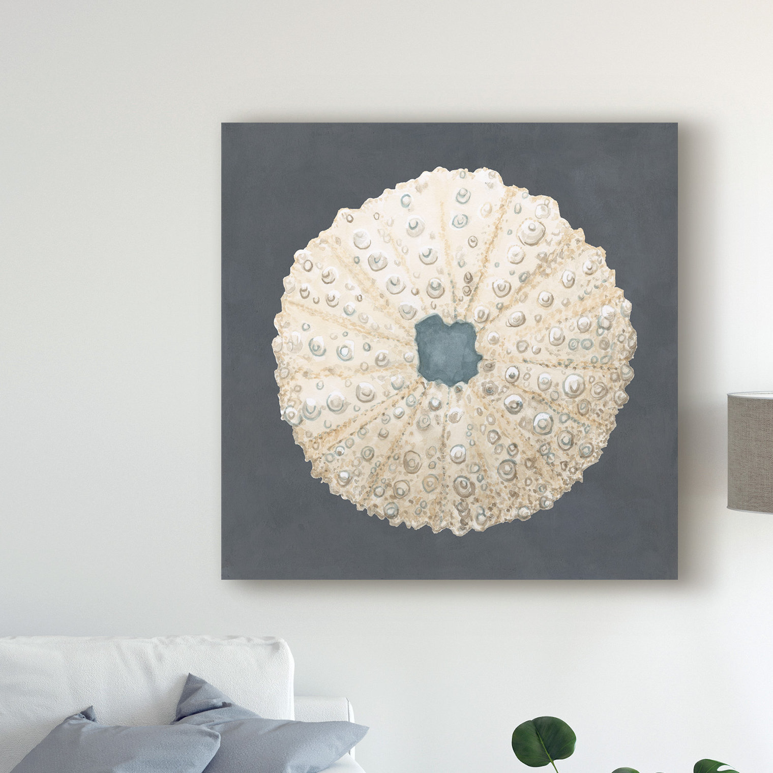 East Urban Home Shell on Slate VII by Megan Meagher - Painting Print on ...