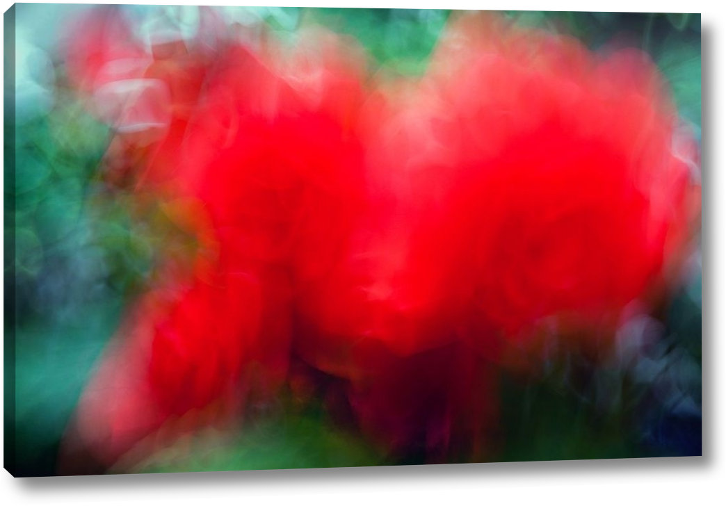 Ebern Designs 'Scarlet Fire' by Andrew Benjamin Giclee Art Print on ...