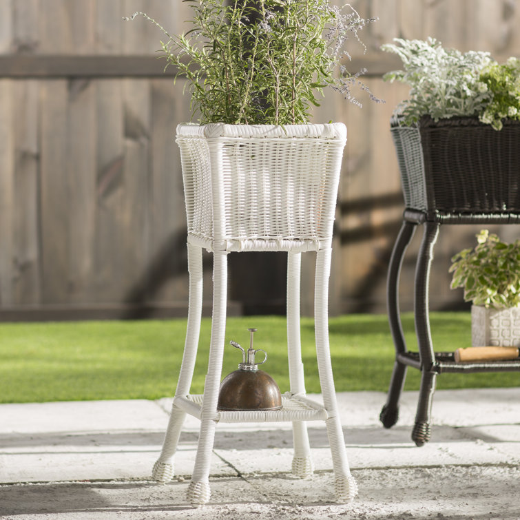 Lark Manor Arved Plant Stand & Reviews | Wayfair