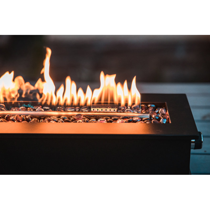 Latitude Run® Daidre Steel Propane Fire Pit Table Insert & Reviews ...