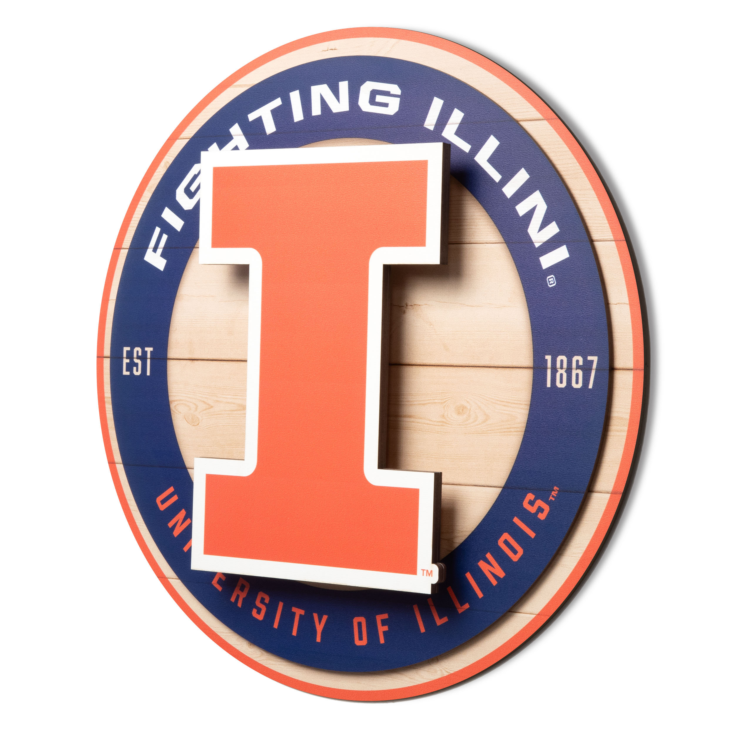 Trinx NCAA Illinois Fighting illini 3DX Circle Wall Art | Wayfair