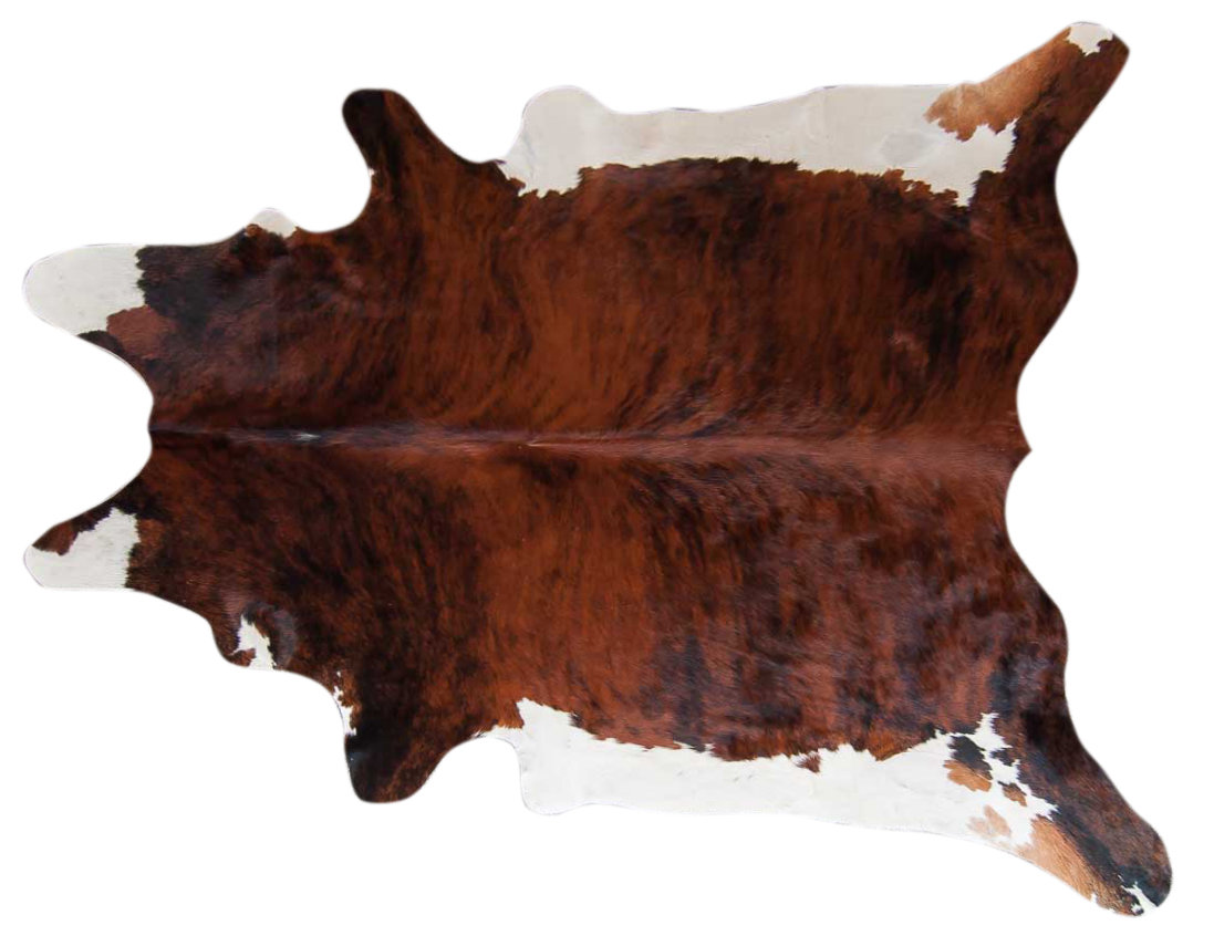 Union Rustic Gutirrez Brindle White Belly Cowhide Rug – Genuine Leather ...