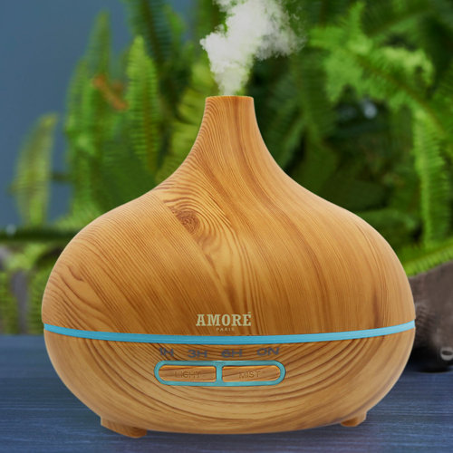 Essential Oil Diffusers - Wayfair Canada