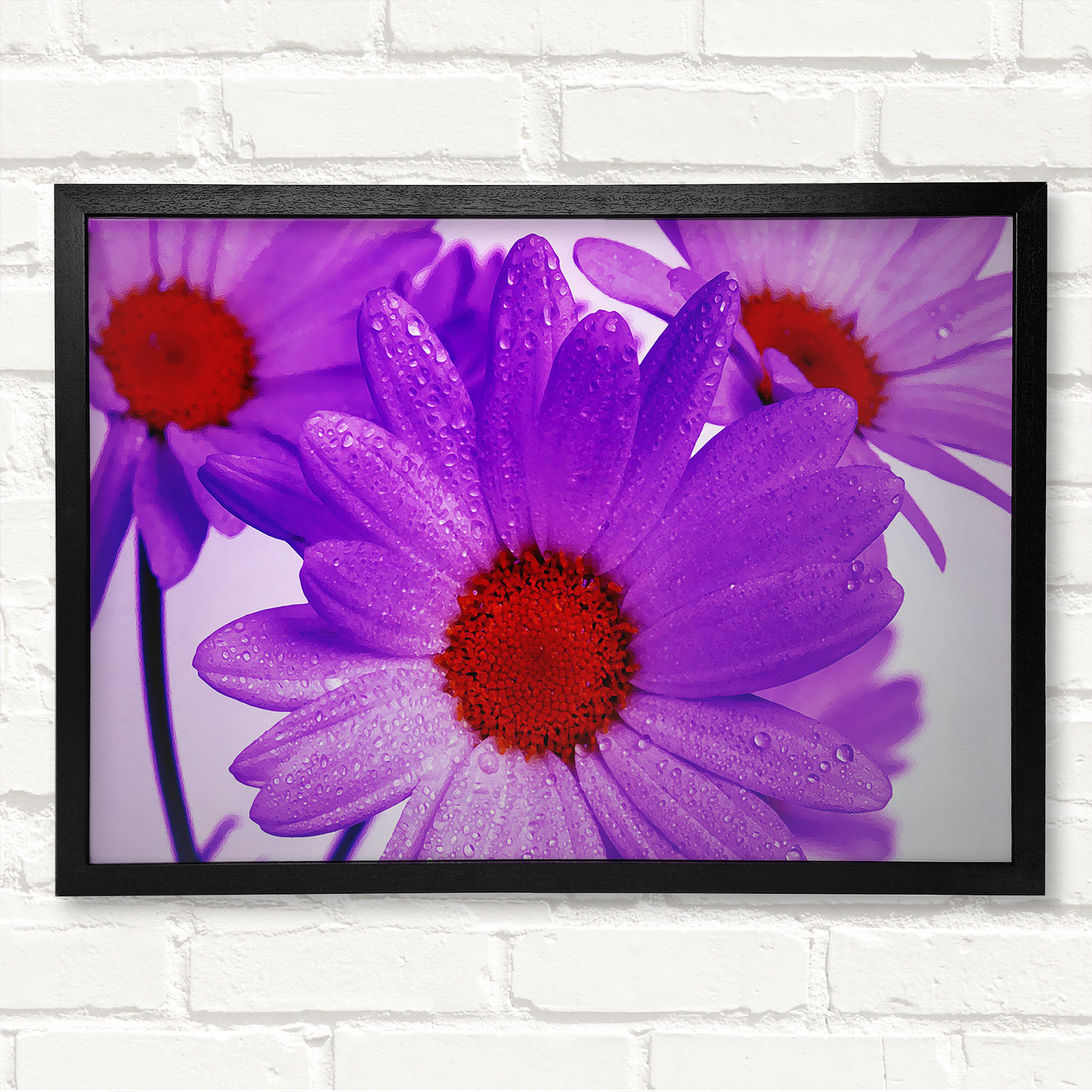 Ebern Designs Purple Dew Drop Daisys - Print | Wayfair.co.uk