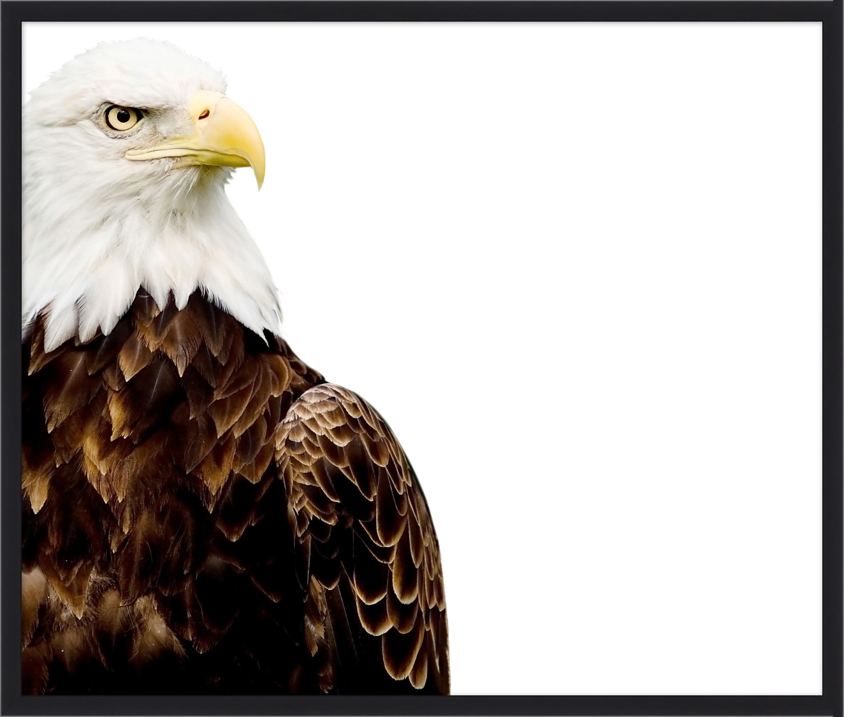 Wendover Art Group Eagle's Watch | Perigold