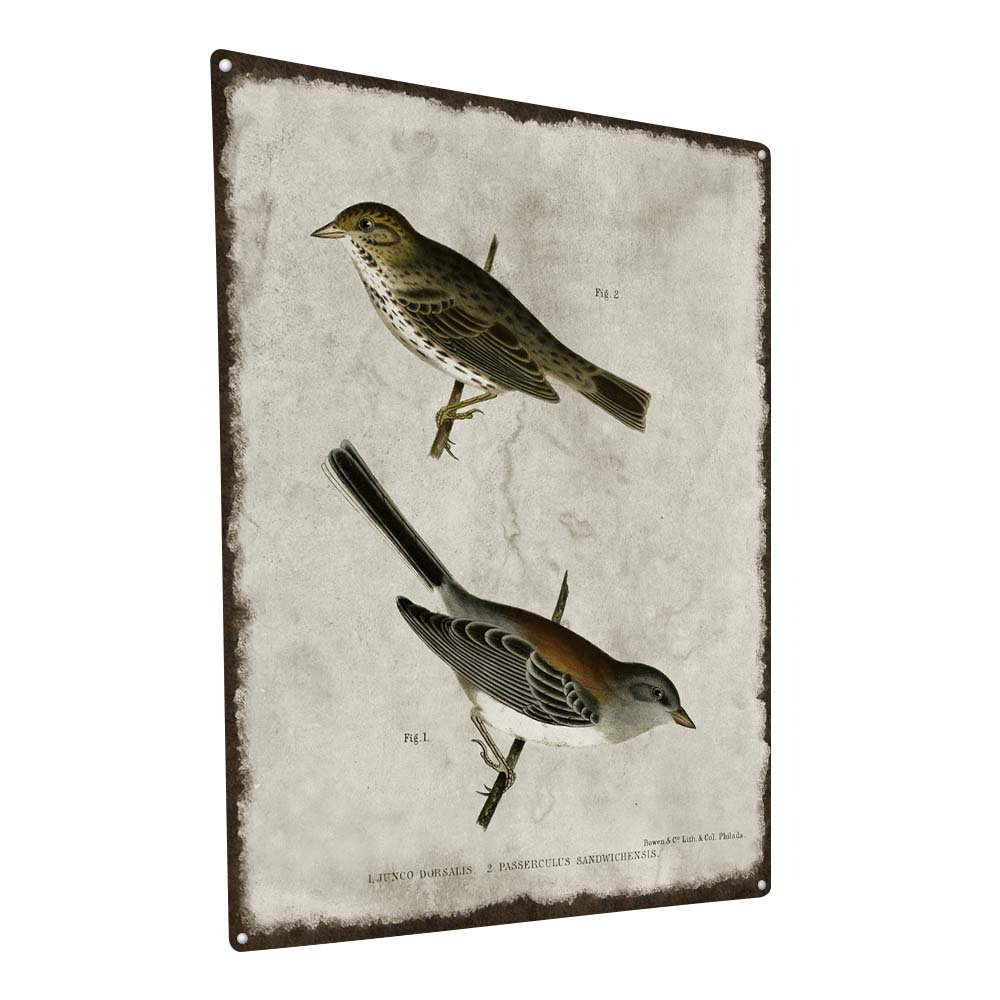 Winston Porter Vintage Illustration of Juncos Metal Sign - Wayfair Canada