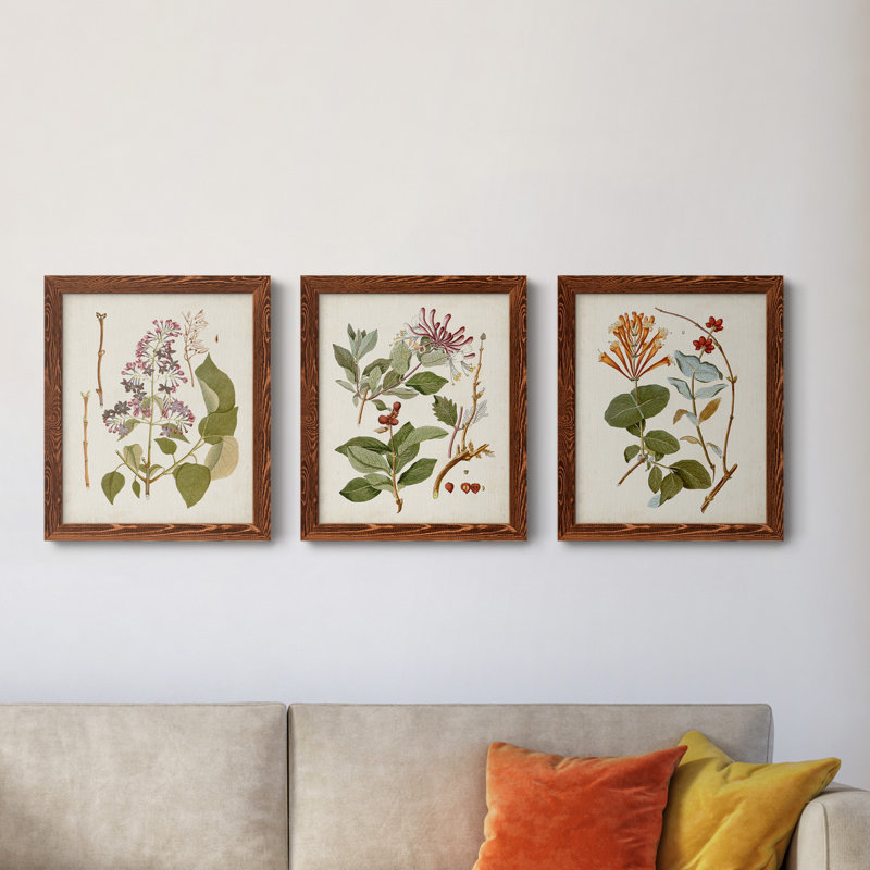 Laurel Foundry Modern Farmhouse Vintage Flowering Trees II Framed On ...