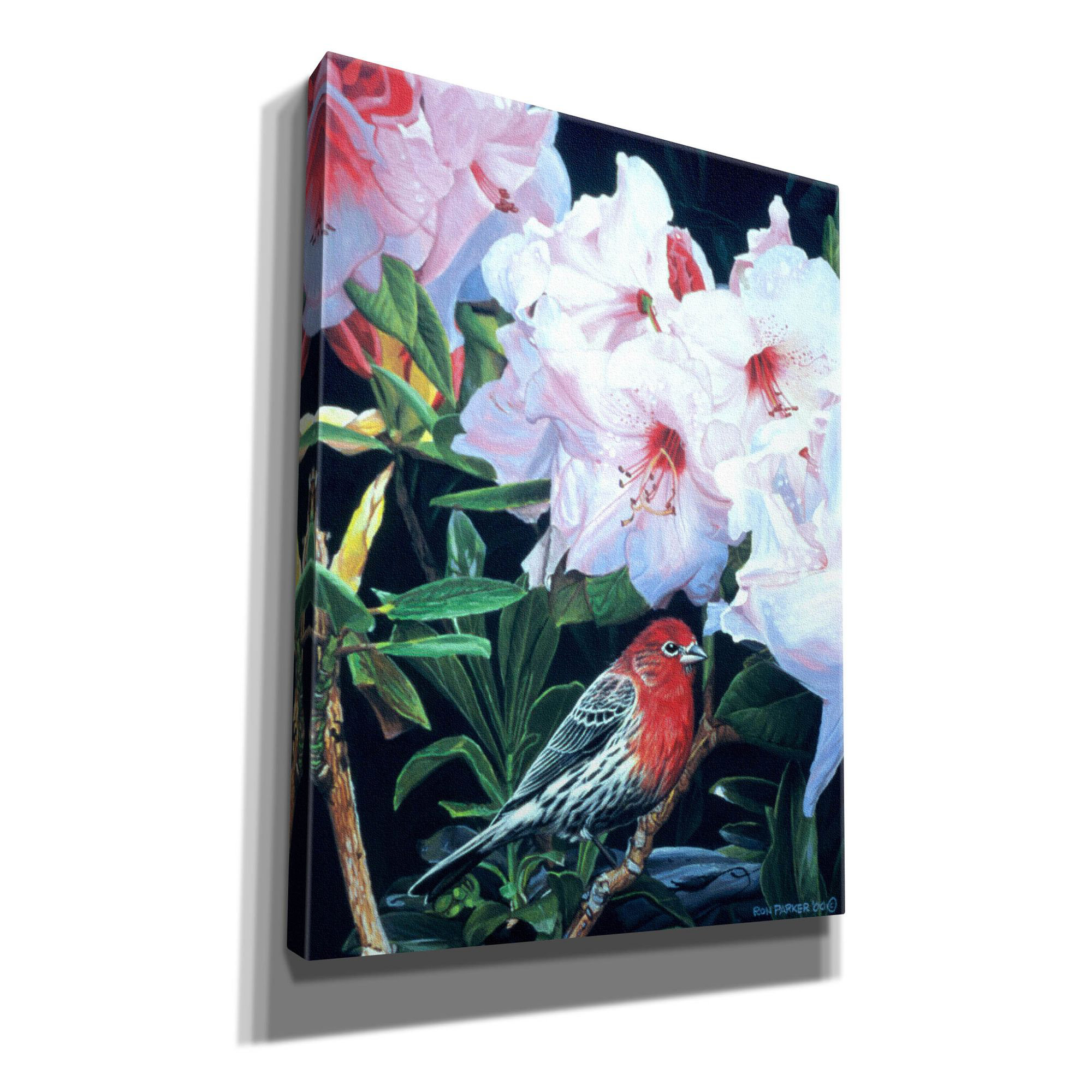 Bay Isle Home™ 'Housefinch And Rhododendron' By Ron Parker, Acrylic ...