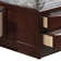 Lark Manor Crowson Bookcase Storage Bed & Reviews | Wayfair
