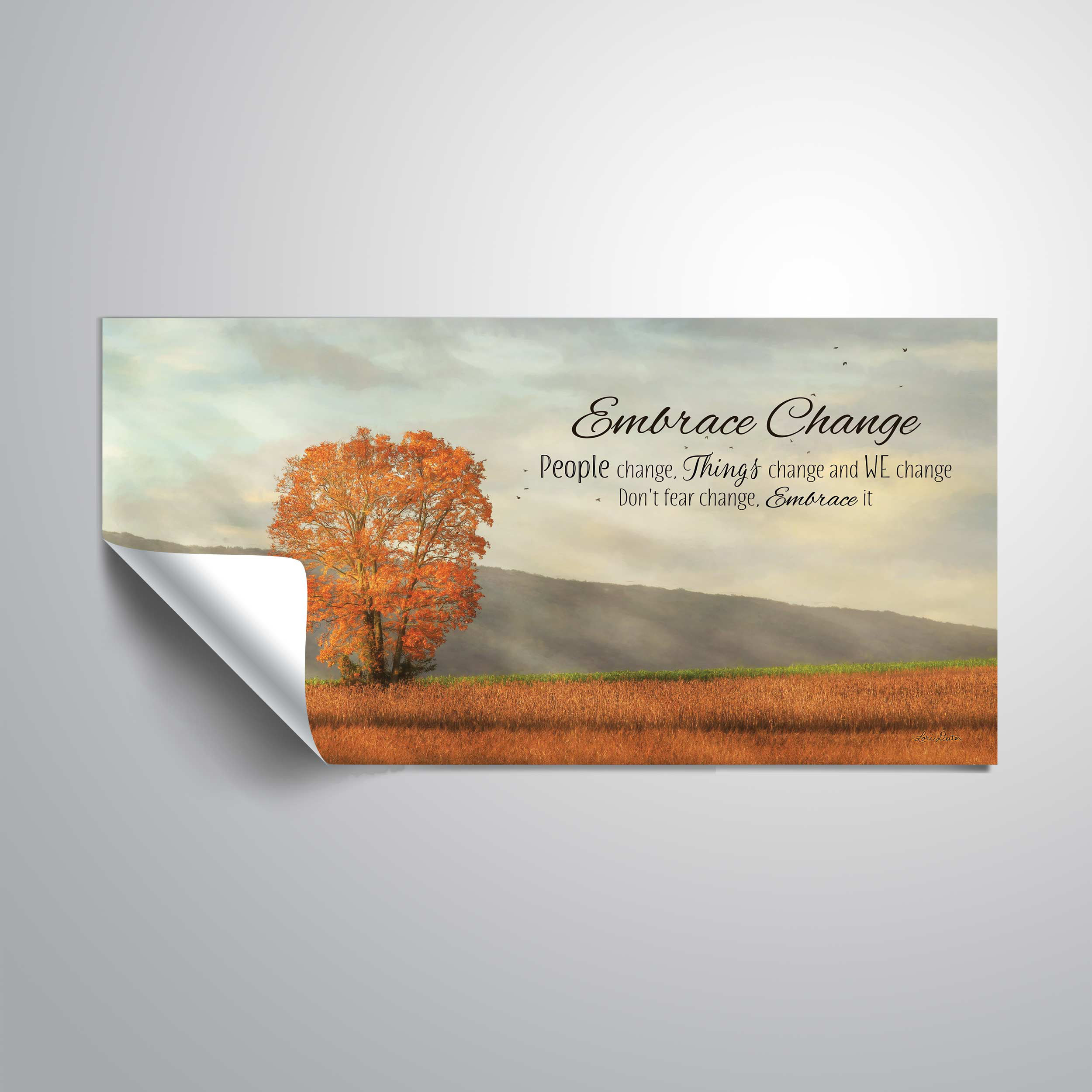 Winston Porter Keiper 'Embrace Change' Removable Wall Decal - Wayfair ...