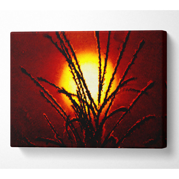 ClassicLiving As The Sun Lights Up The Reeds - Wrapped Canvas Print ...