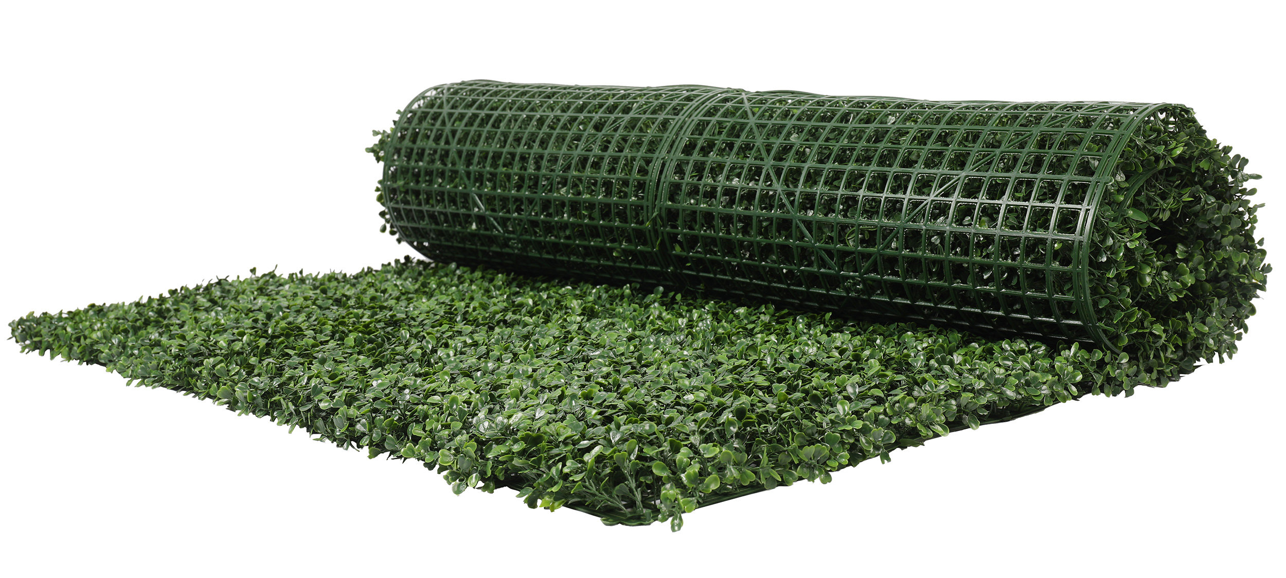 Latitude Run® Boxwood Hedge & Reviews | Wayfair