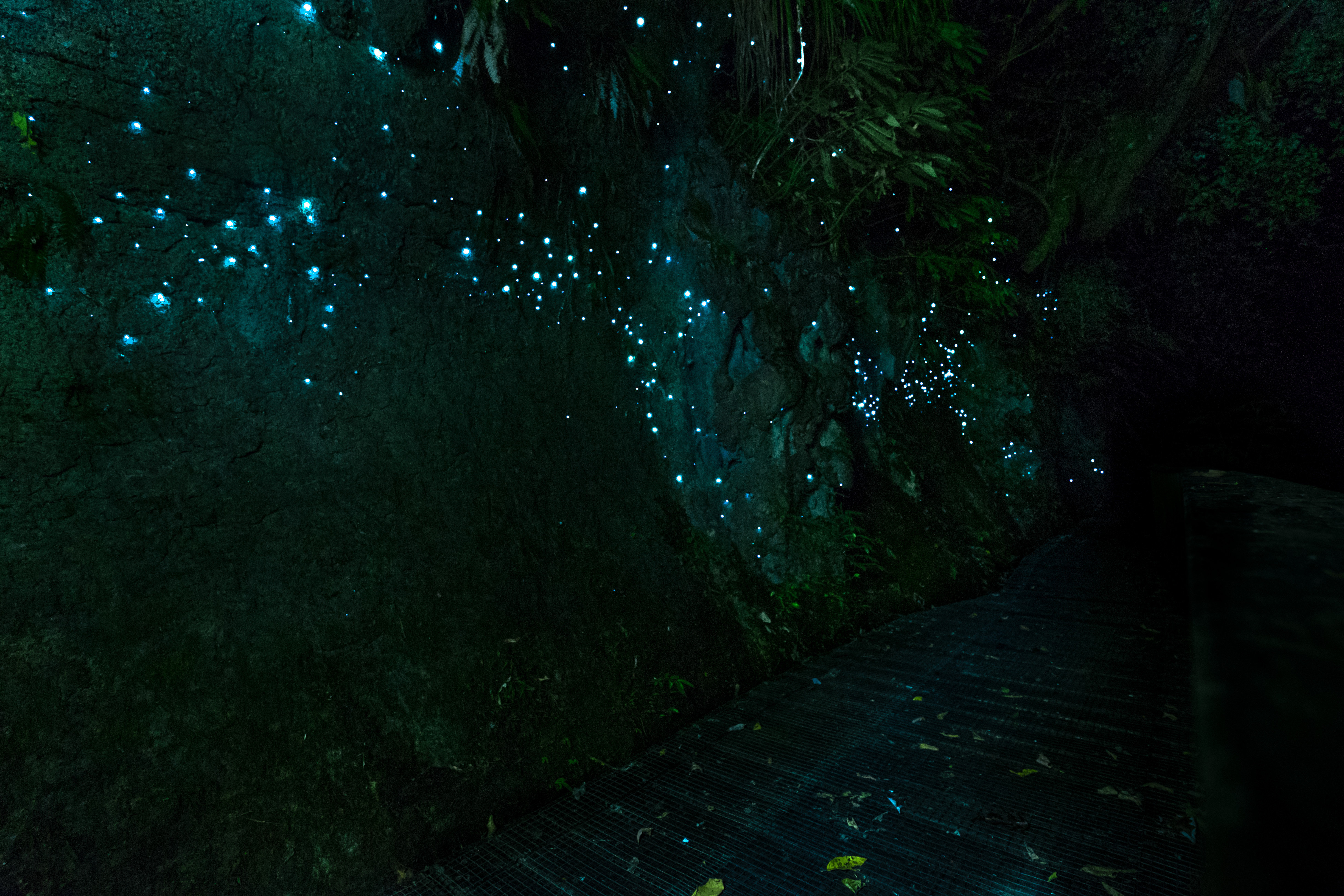 17 Stories Maragh Waitomo Glowworm Caves by Skyimages - Wrapped Canvas ...