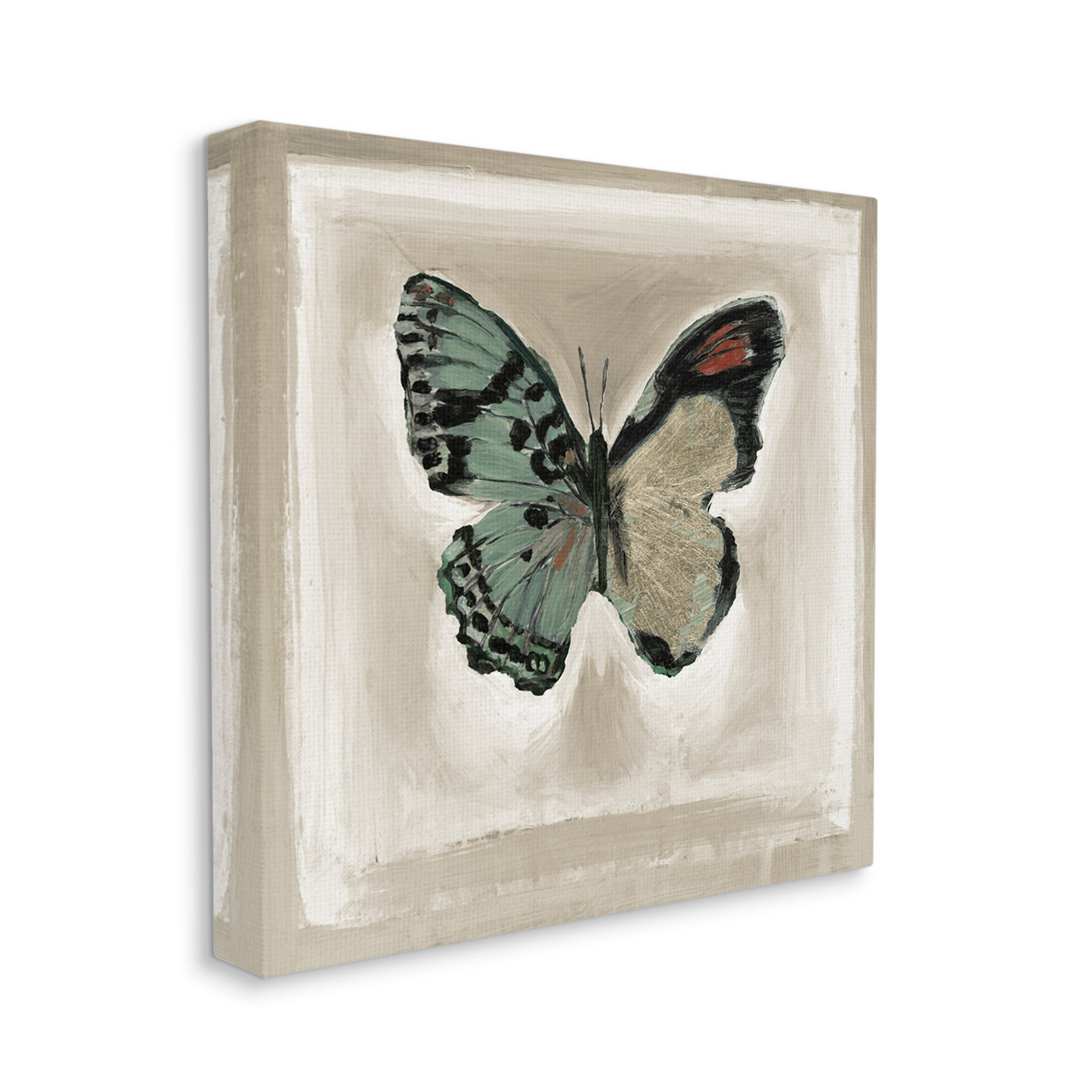 Stupell Industries " Asymmetrical Butterfly Wings " by Stacy D'Aguiar ...