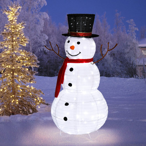 The Holiday Aisle® Snowman Lighted Display & Reviews | Wayfair