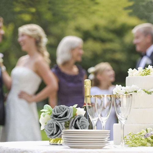 Primrue Mack Roses Centerpiece | Wayfair