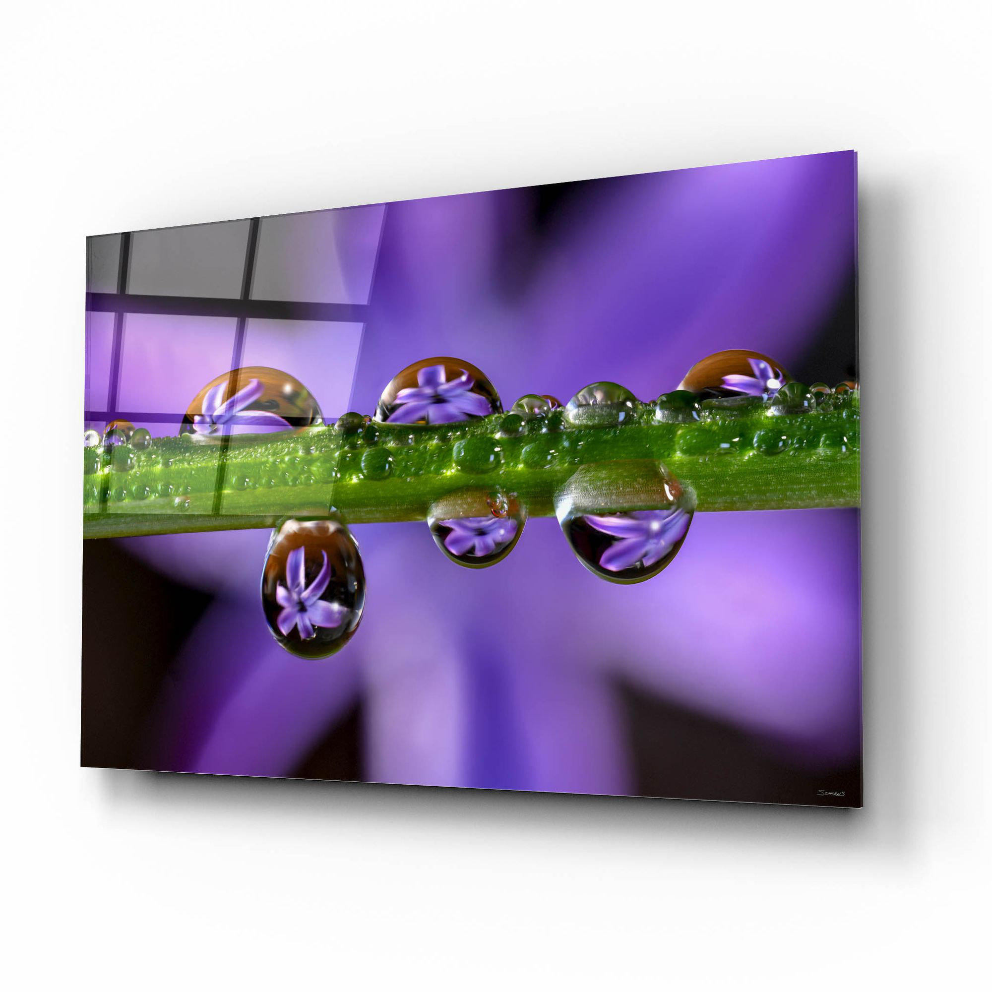 Latitude Run® Purple Hyacinths 01 On Plastic/Acrylic by Gordon Semmens ...
