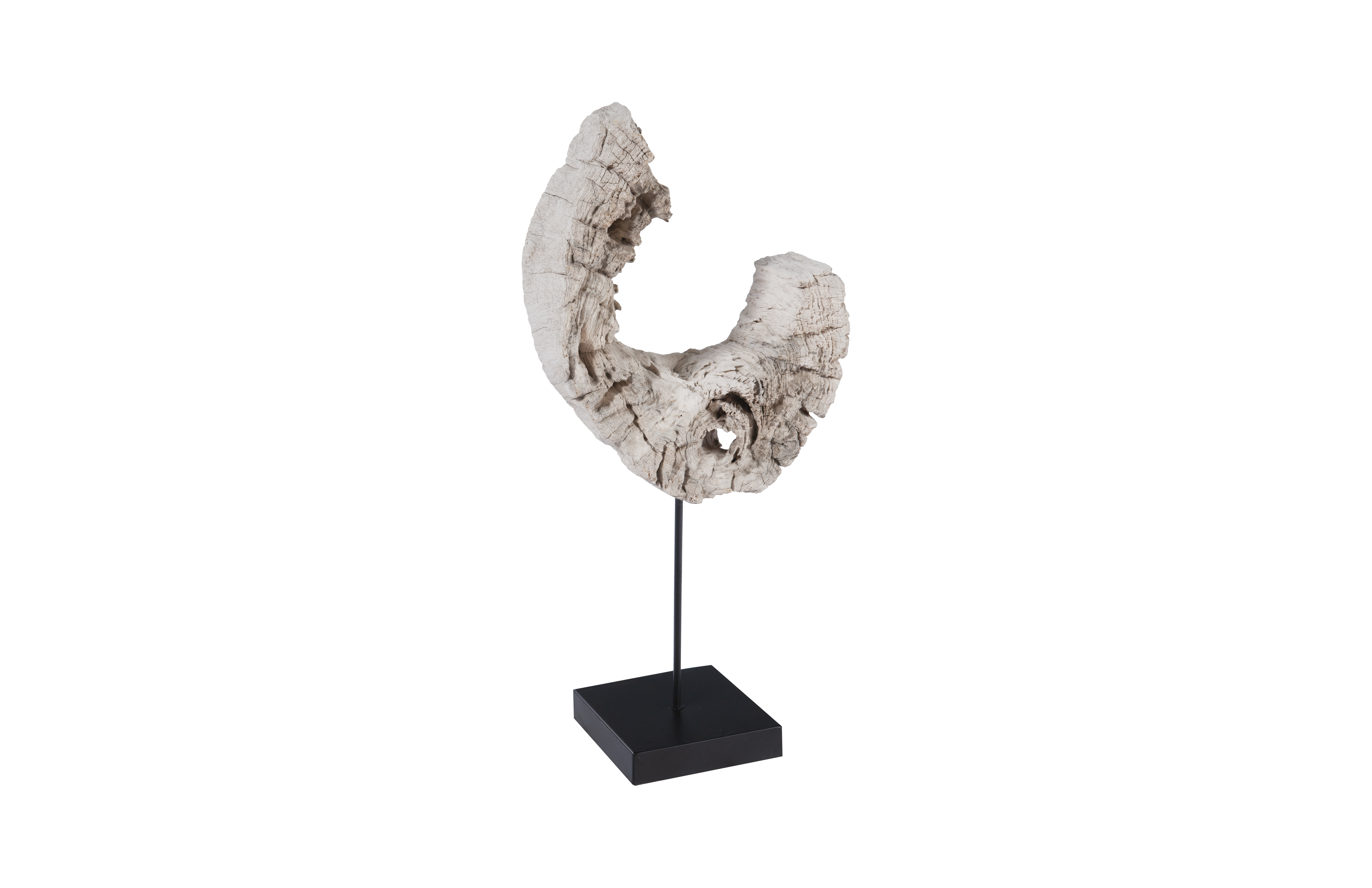 Phillips Collection Eroded Wood C Sculpture on Stand, Assorted | Perigold