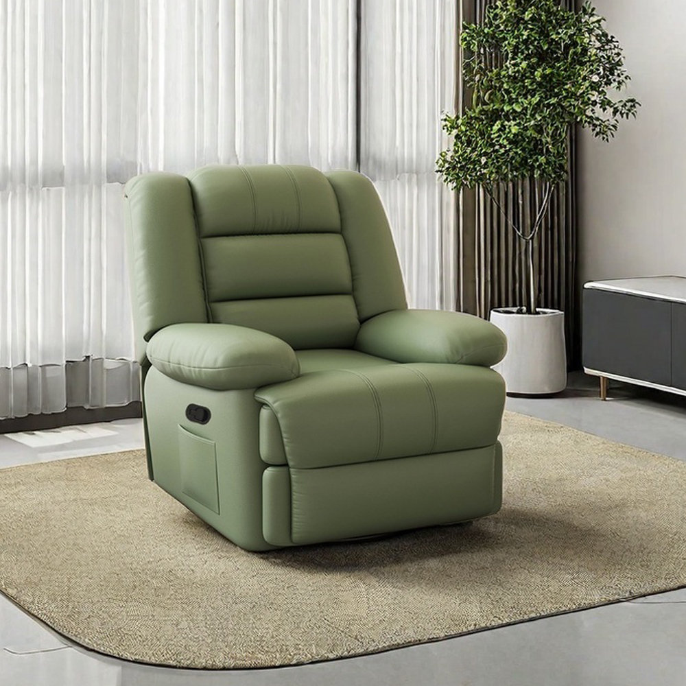 Hokku Designs Ergonomic cat scratch leather recliner | Wayfair