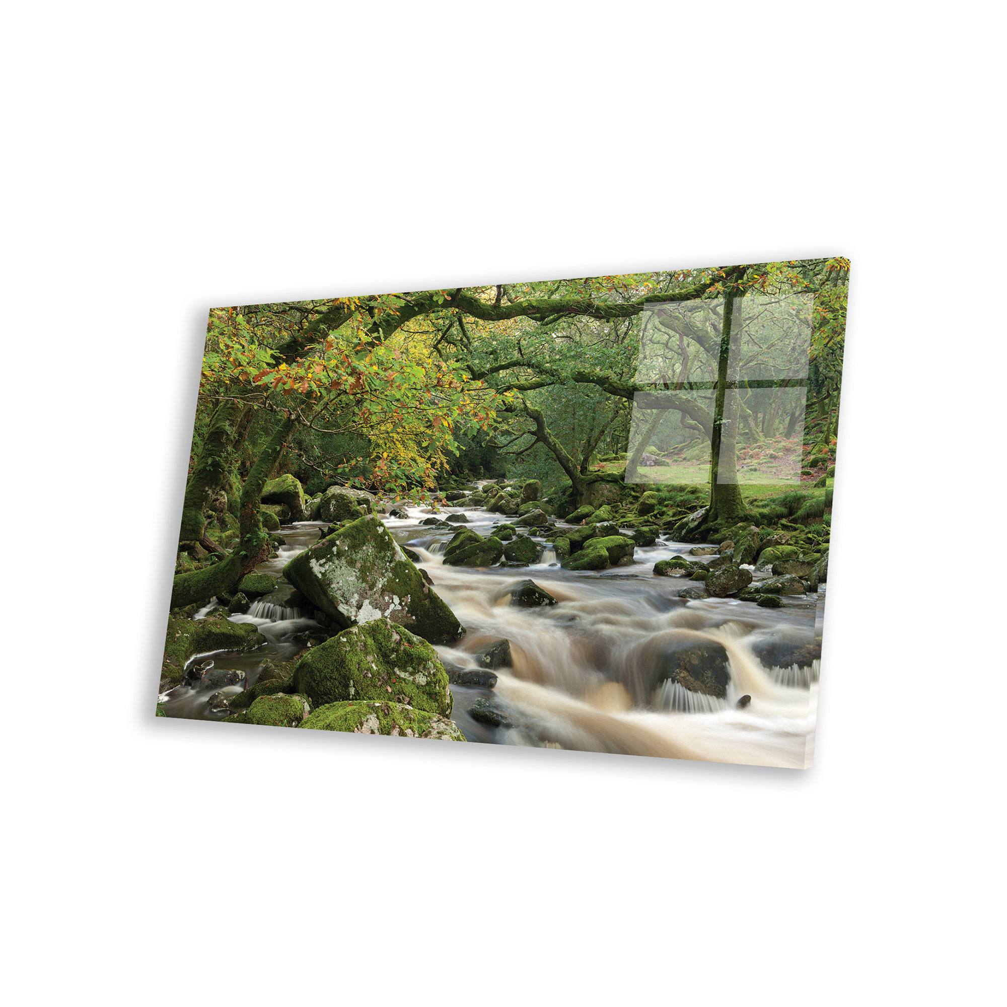 Millwood Pines Antica The Dewerstone Wood On Plastic/Acrylic by Adam ...