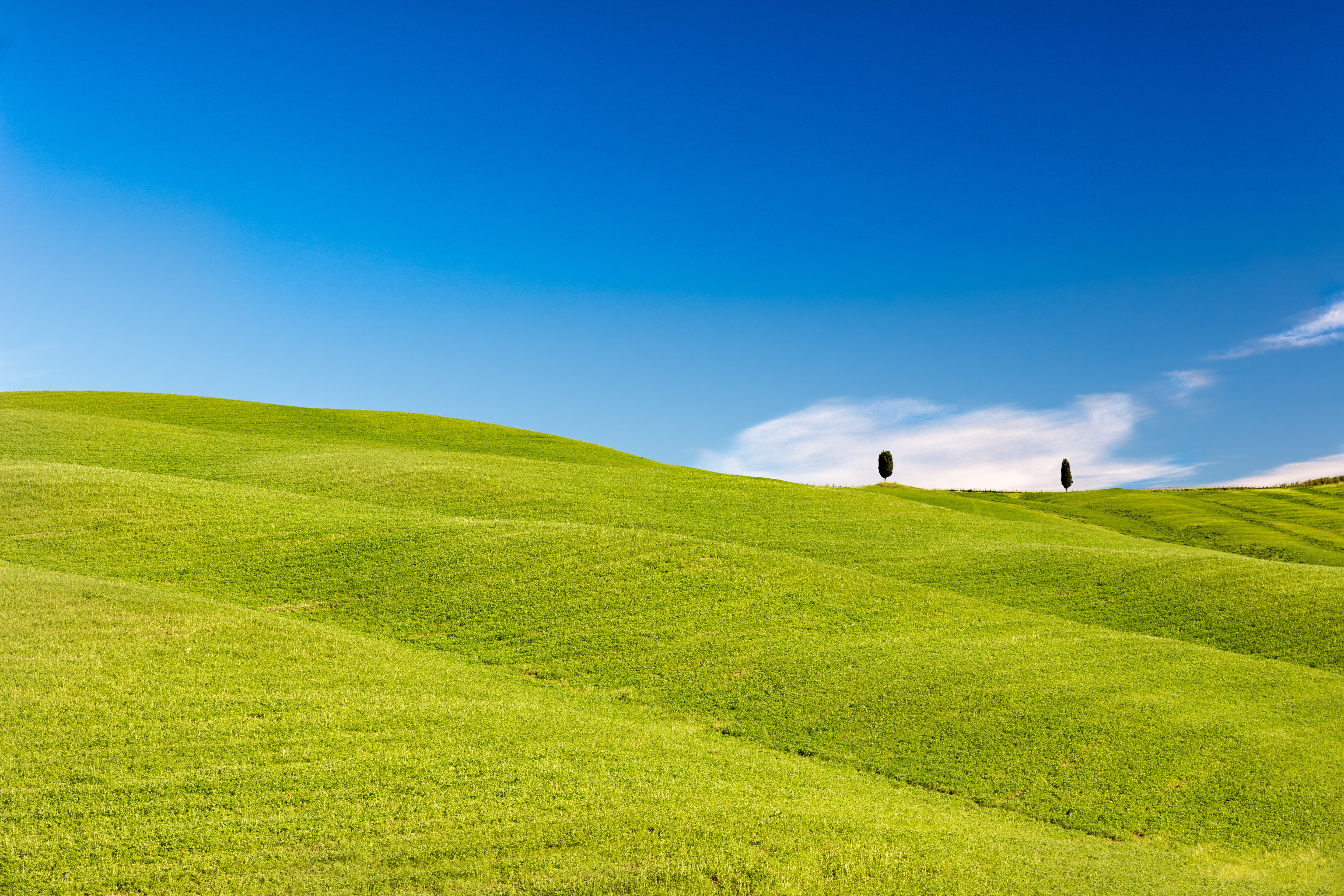 Latitude Run® Anginette Rolling Hills With Trees And Blue Skies ...