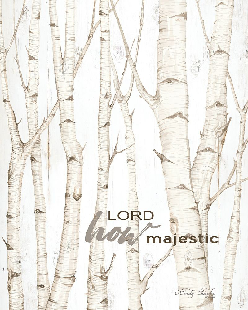 Loon Peak Lord How Majestic Poster Print By Cindy Jacobs (18 X 24 ...