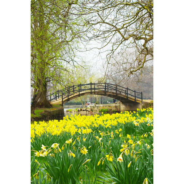 Ebern Designs Spring In England On Canvas by Iridescentphotography ...