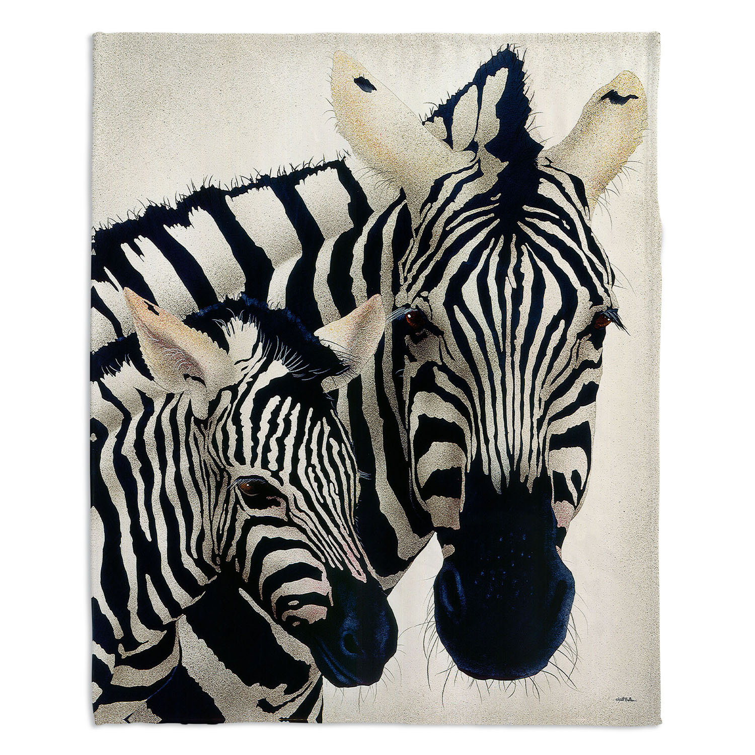 DiaNoche Designs Madonna Serengeti Zebra Throw | Wayfair