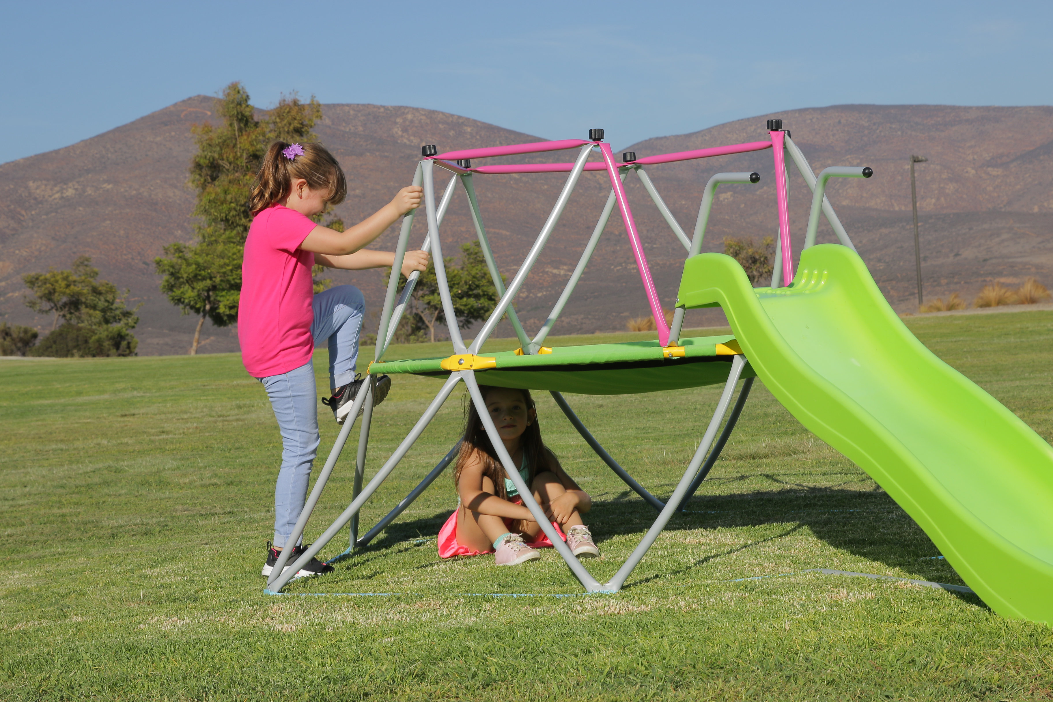 Slide Whizzer Dome Climber and Slide & Reviews | Wayfair