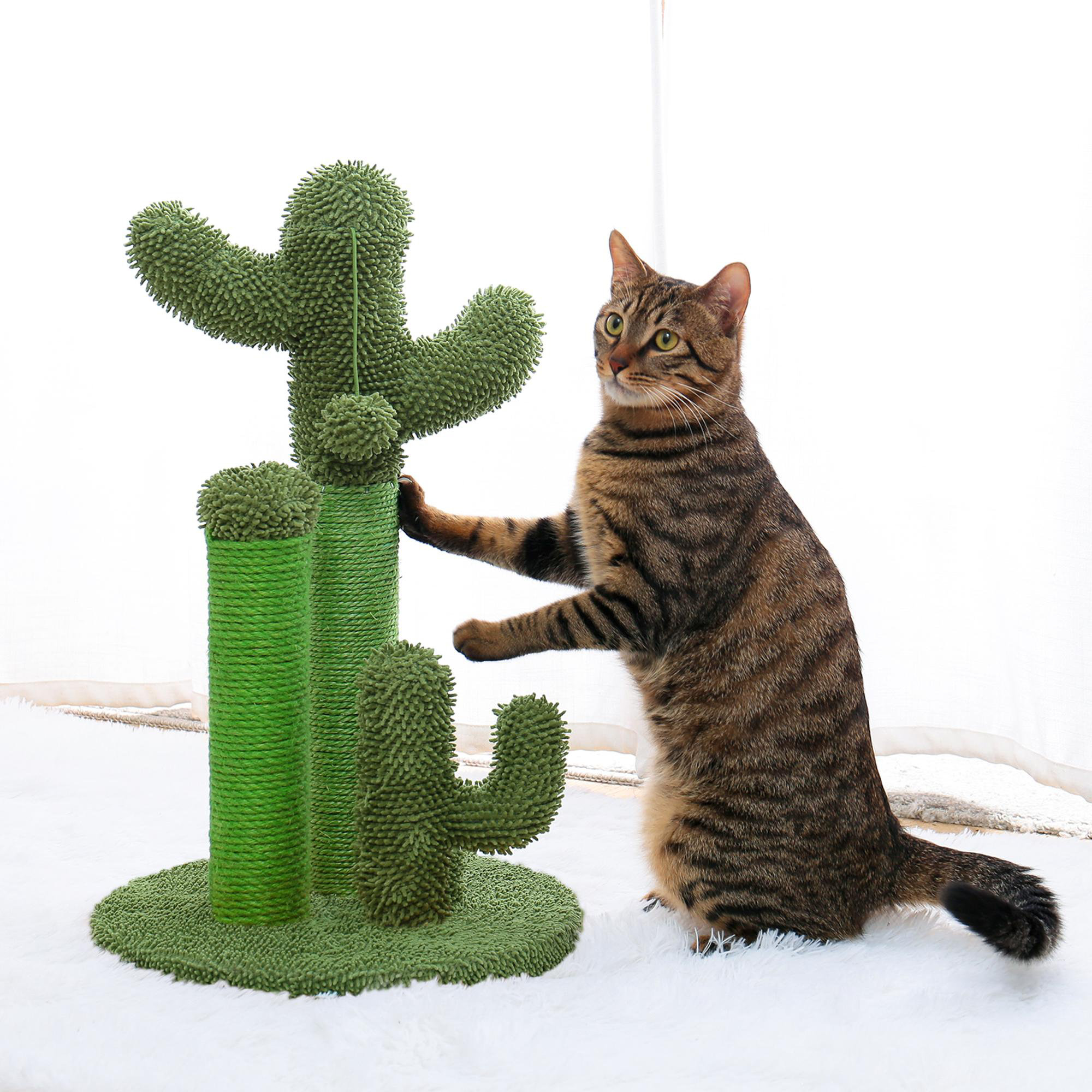 George Oliver Cute cactus-shaped cat scratching post | Wayfair