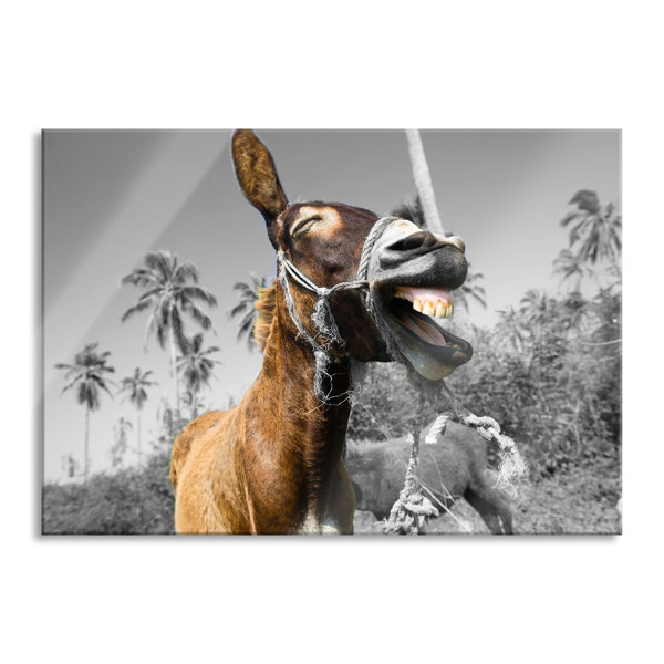 August Grove Funny Laughing Donkey Under Palm Trees - No Frame Print on ...