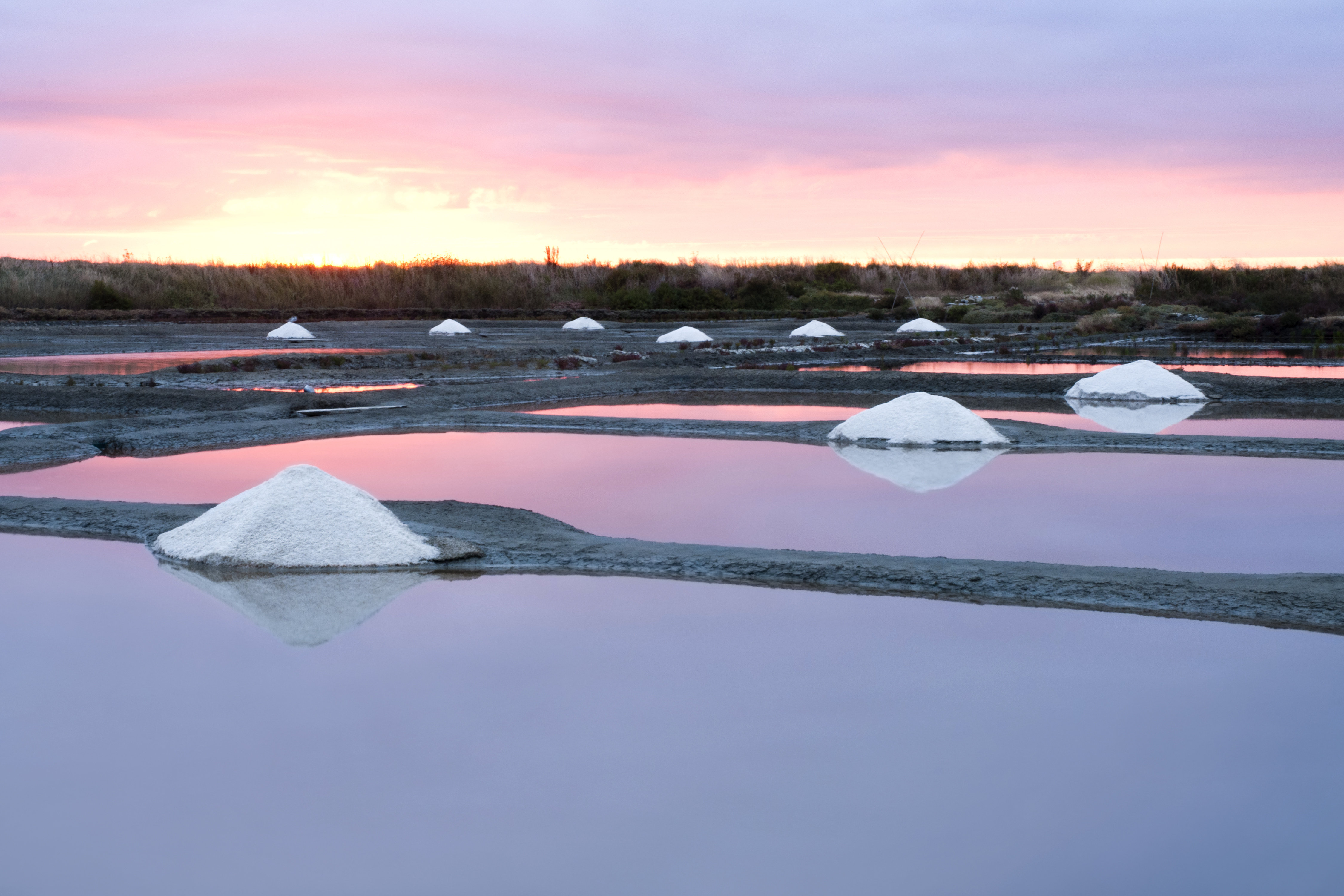 Ebern Designs Sunset on Salt Marshes by Legna69 | Wayfair