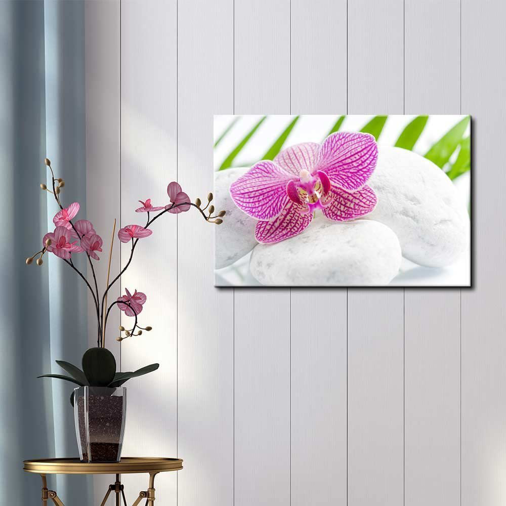 IDEA4WALL - Pink Orchid Over Rocks With Palm Leaves On The Background ...