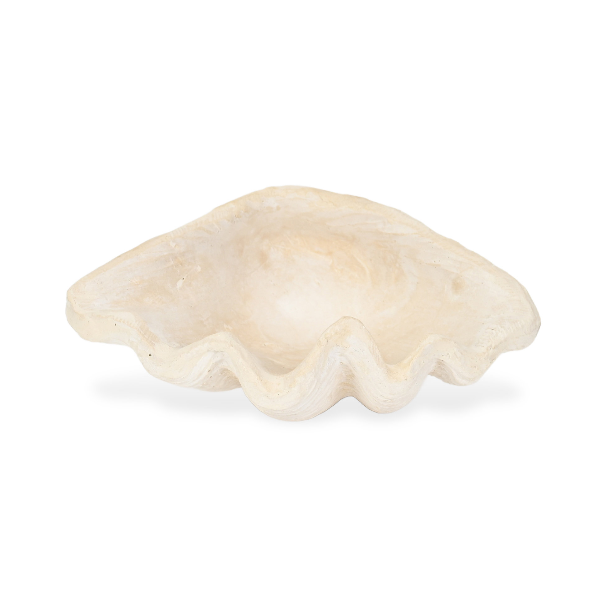 Beachcrest Home™ Vail Composite Material Sea Shell Catchall Tray | Wayfair