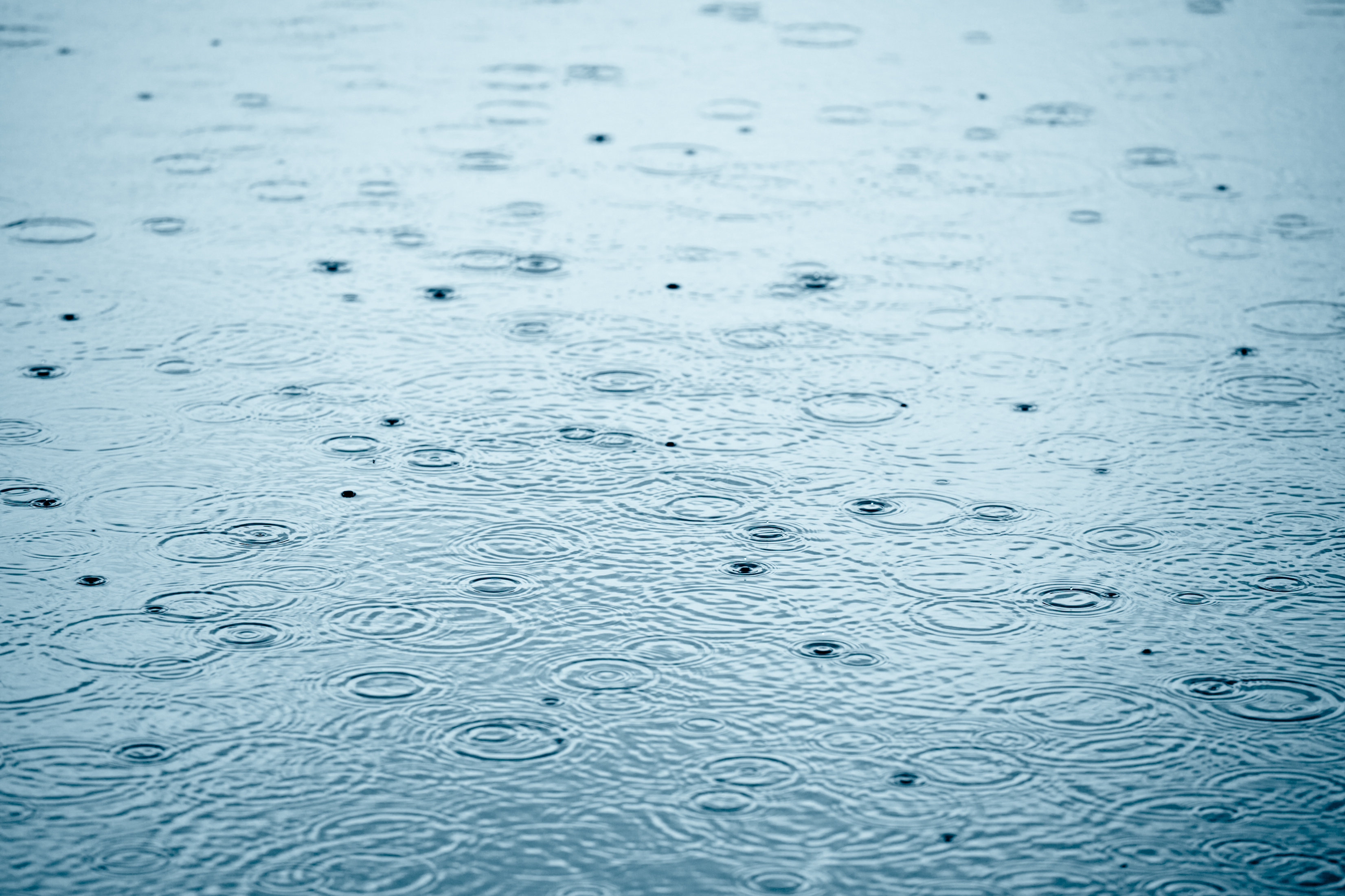 Highland Dunes Rainy Weather - Wrapped Canvas Photograph | Wayfair