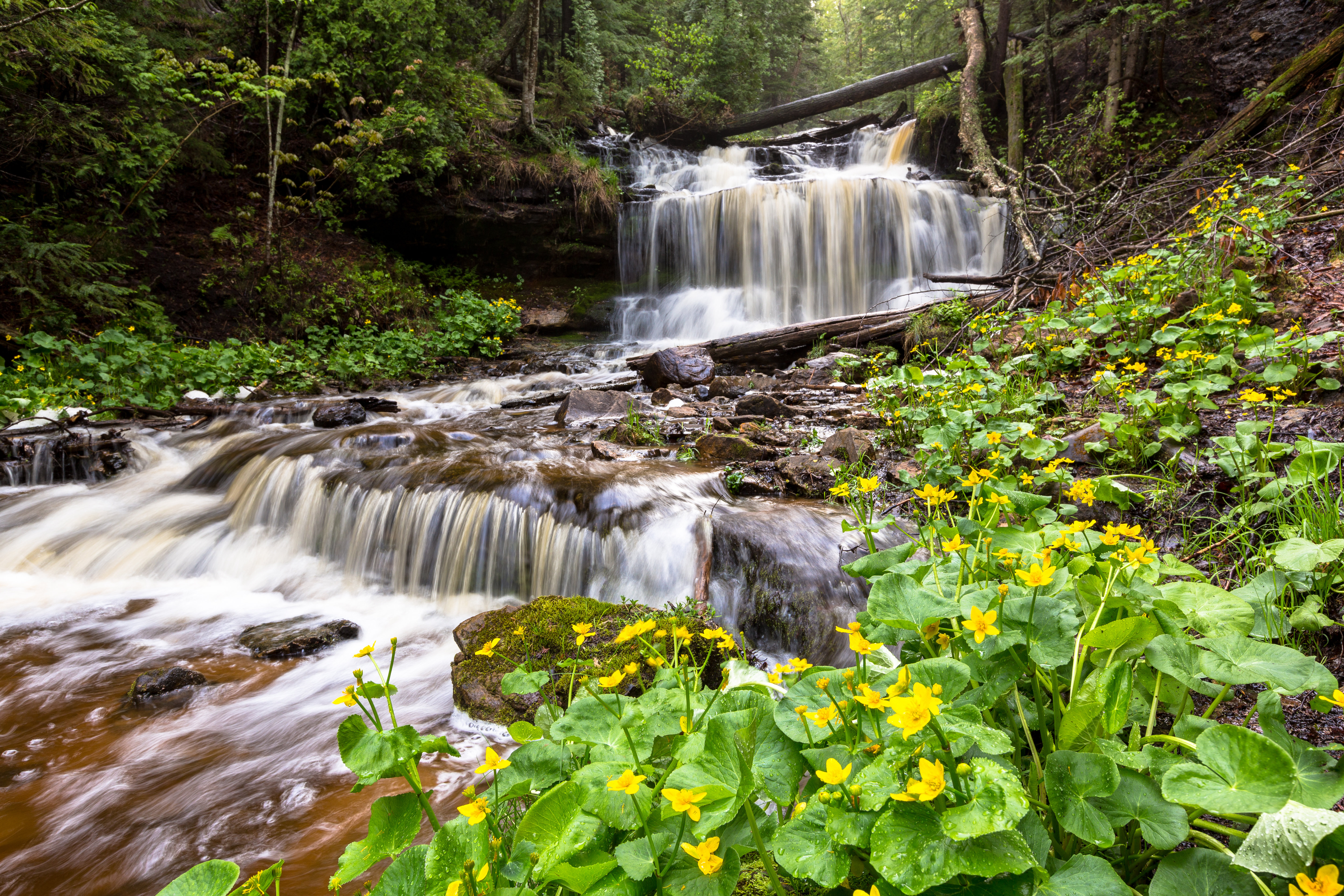 Millwood Pines Wagner Falls - Munising Michigan - Wrapped Canvas ...