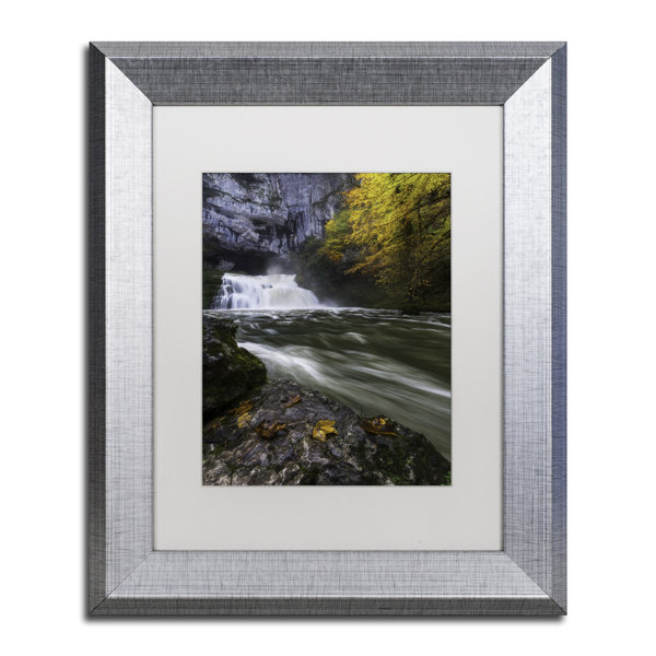Trademark Art 'Perfect Harmony' Framed Photographic Print - Wayfair Canada